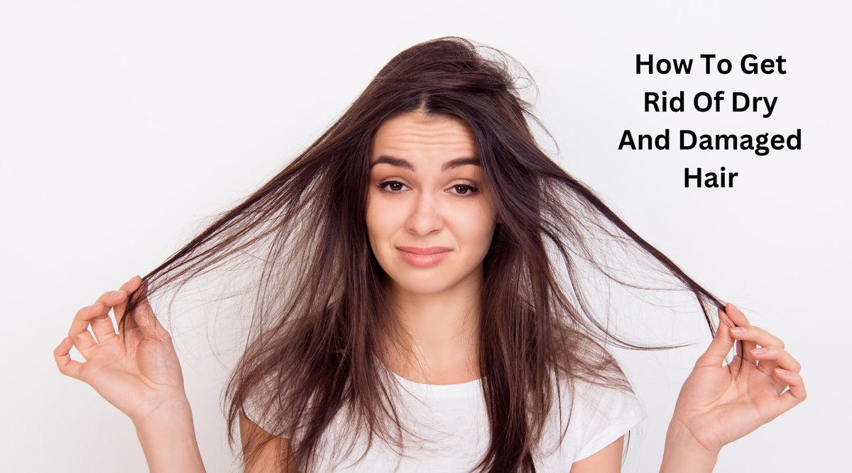 How To Get Rid Of Dry And Damaged Hair – HERBCIENCE
